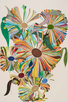 Joshua White Photography